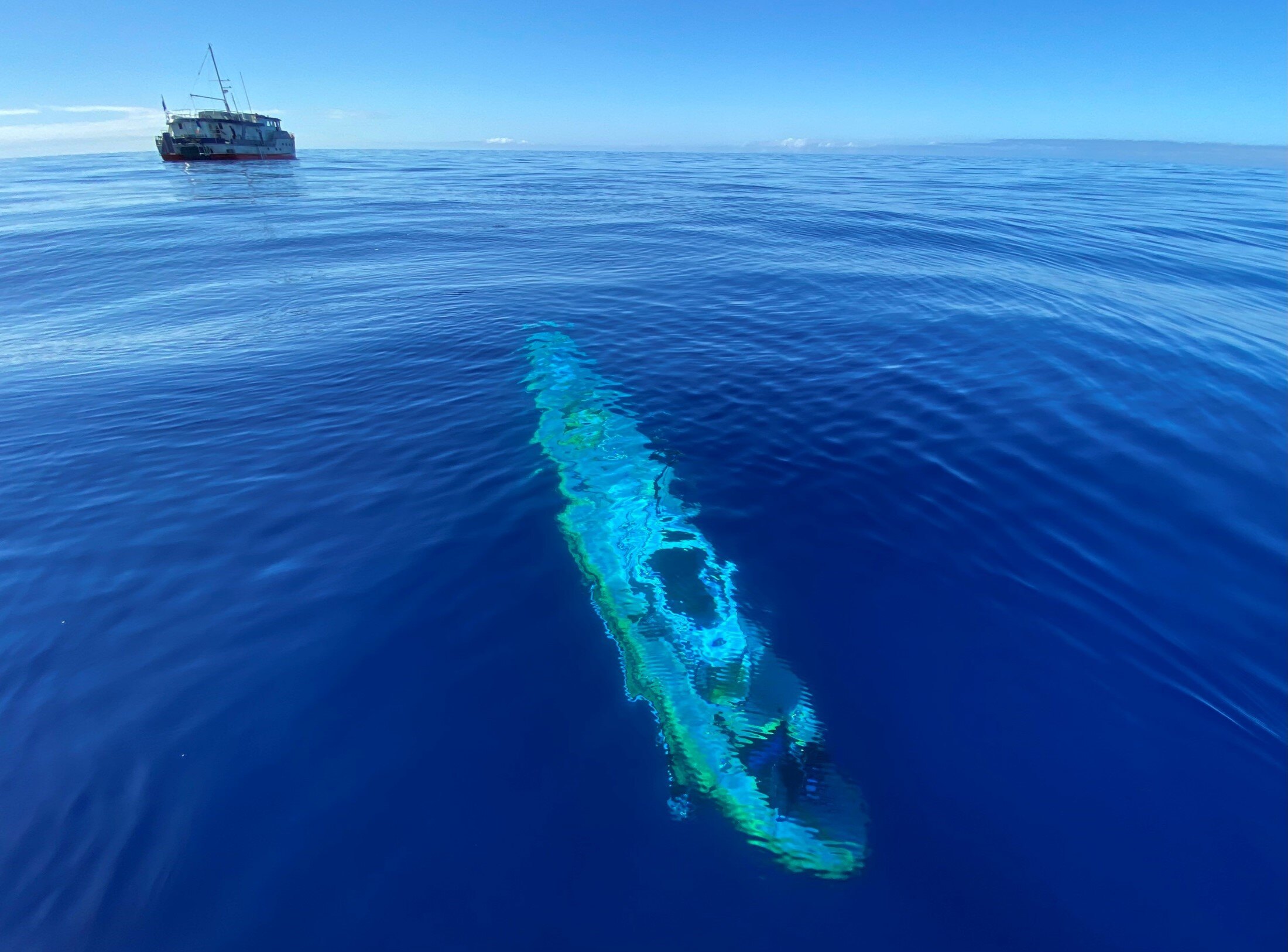 Submarine Carrier with Moon Pool: Durable and Efficient for Marine Surveys (SOLD) – Skippern Yachts